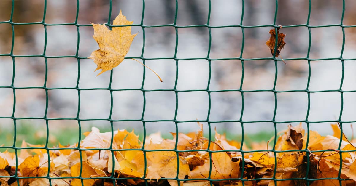Fall Ball for Travel Baseball: What You Need to Know - Roadballers